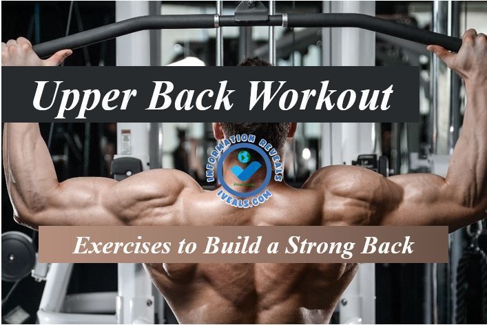 Upper Back Workout: Exercises to Build a Strong Back
